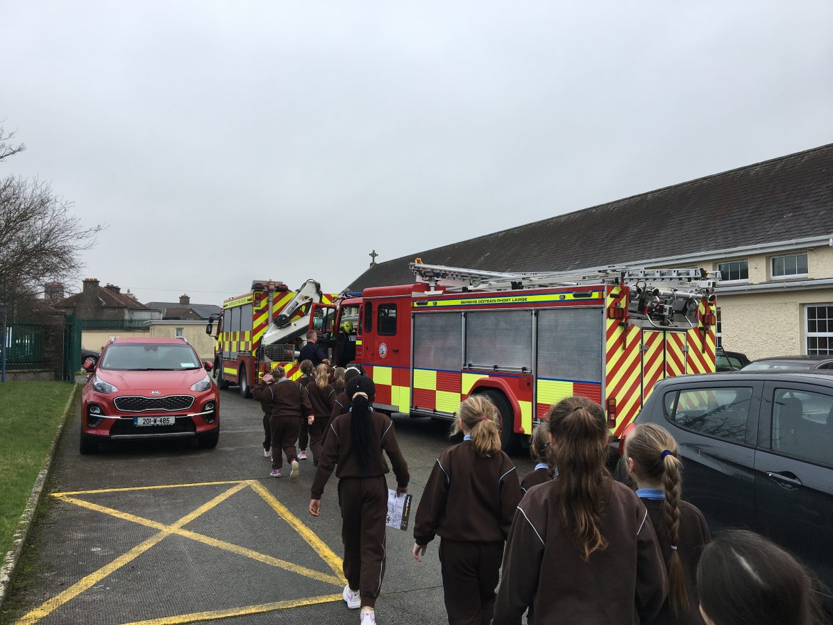 December 8 – Presentation Primary School Waterford