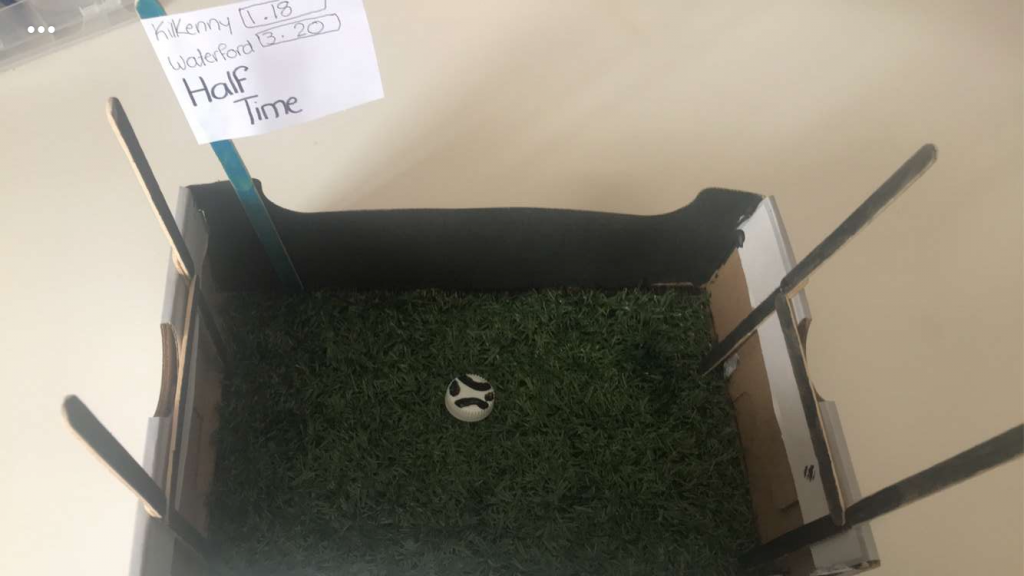 Covid 12 JOS – Presentation Primary School Waterford