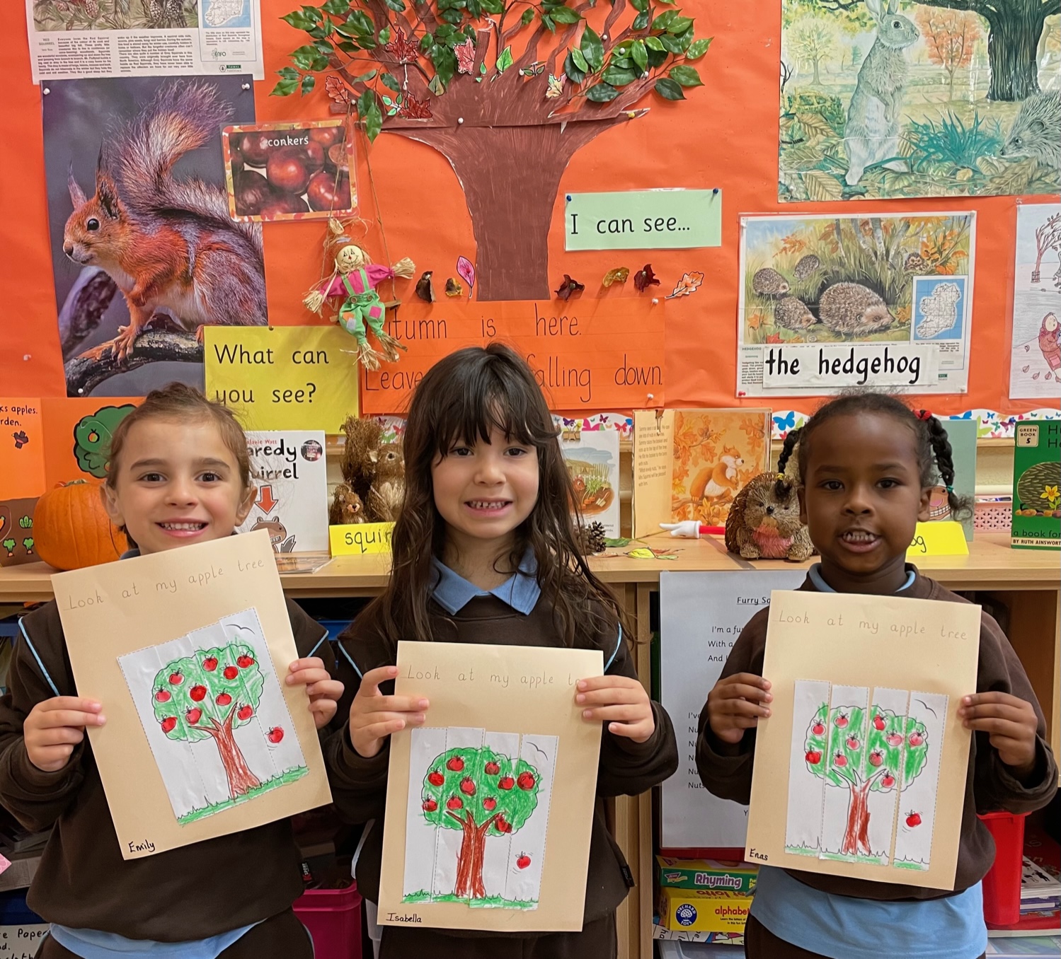 Apple Trees – Presentation Primary School Waterford